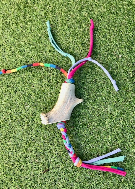 Bespoke Antler Toys – Aussie Antlers