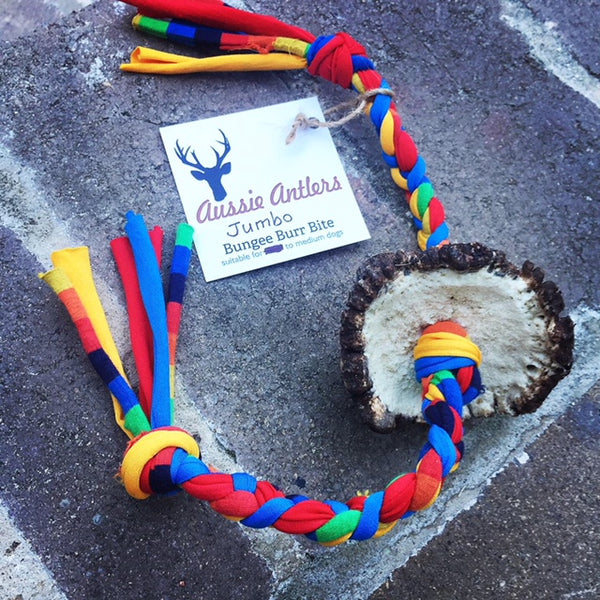 Jumbo Burr Bungee Bite – Aussie Antlers
